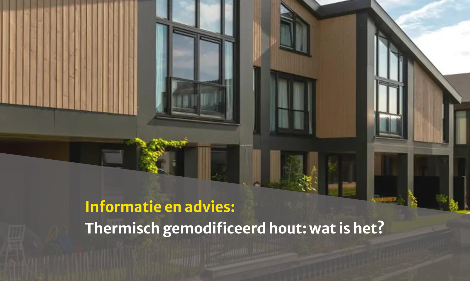 Thermisch gemodificeerd hout | Wat is het? | Kennisbank